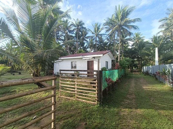 Affordable Properties For Sale Bobon Northern Samar [3 Properties ...