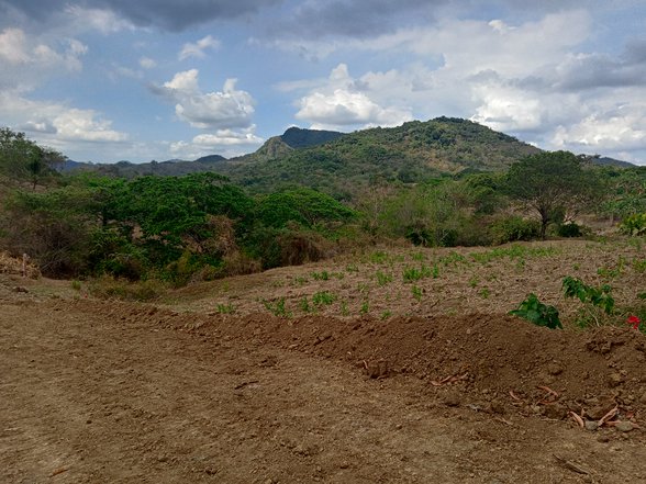 Residential Farm Lot For Sale Nasugbu Batangas 🚜 [181 Properties ... Residential Farm Lot For Sale Nasugbu Batangas 🚜 [181 Properties ...