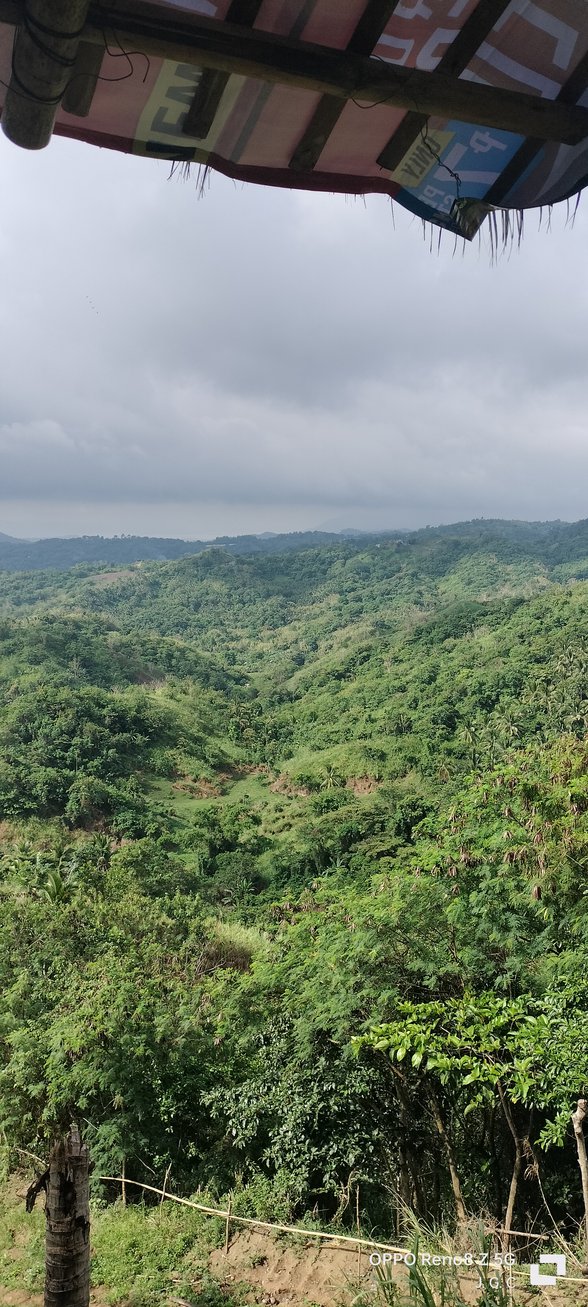 Bir Tanay Rizal [5,644 Properties] (March 2024) on OnePropertee.com