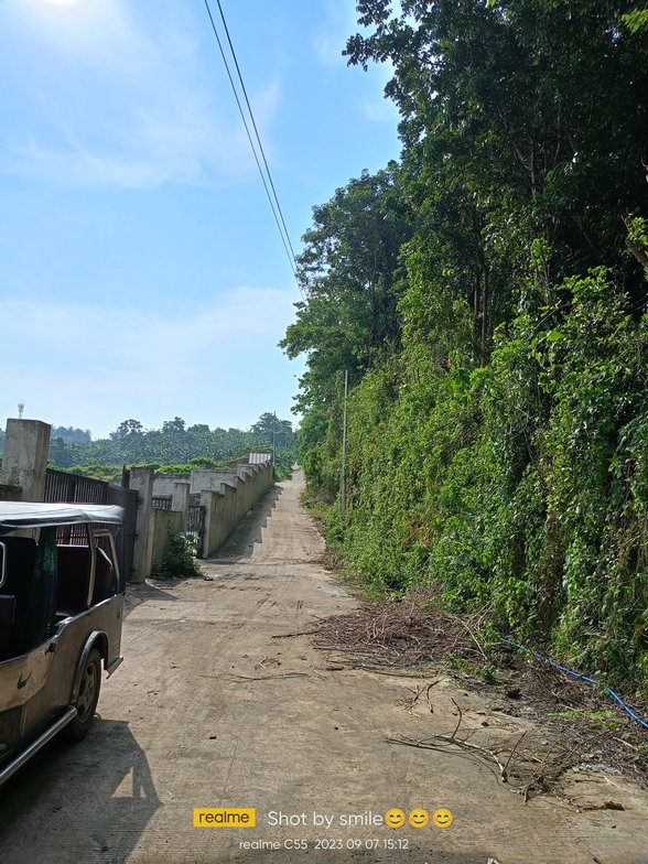Residential Farm Lot For Sale Mabitac Laguna [92 Properties] (June 2025 ...