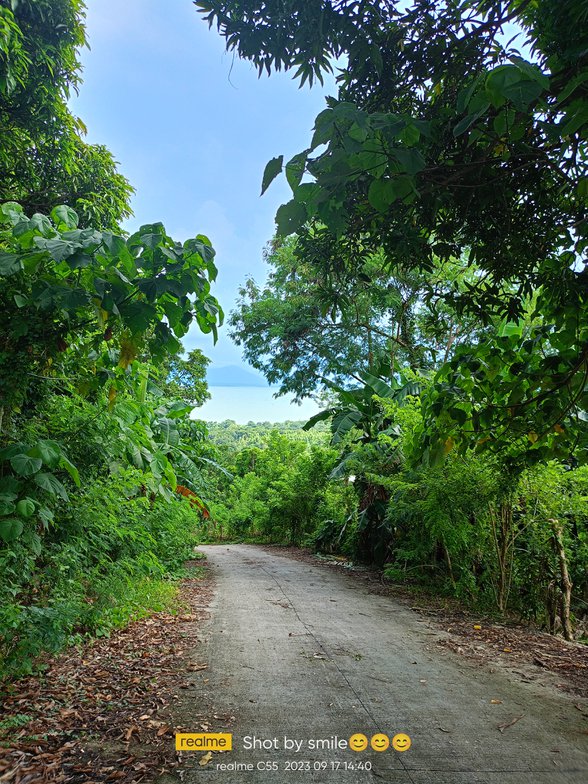 Lubo Jalajala Rizal Properties [19 Properties] (October 2025) on ...