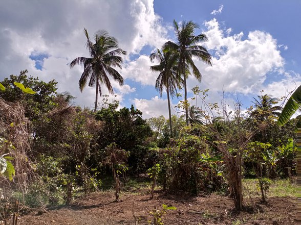 Farm Lot For Sale Philippines 🚜 [273 Properties] (March 2021) on ...