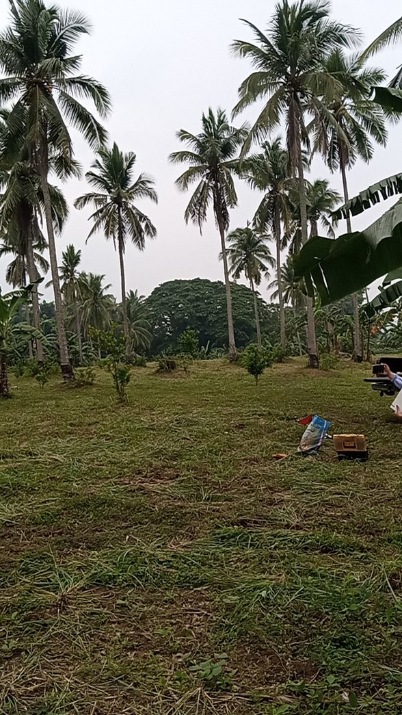 The Old Grove Farmstead Lipa Batangas [1129 Properties] (June 2021) on ...