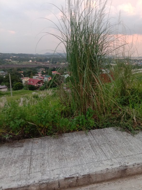The Ridge Binangonan Rizal [97 Properties] (April 2022) on OnePropertee.com