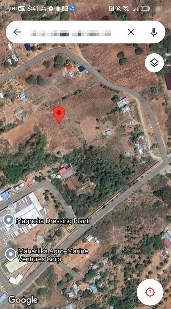 Mango De Oro El Salvador [7,907 Properties] (September 2024) on ...