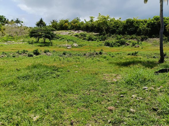 Bulasa Properties For Sale Cebu [10 Properties] (May 2025) on ...