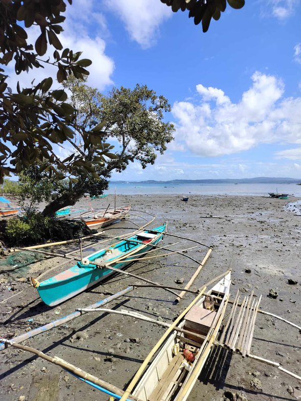 Lot For Sale Gumaca Quezon [441 Properties] (December 2025) on ...