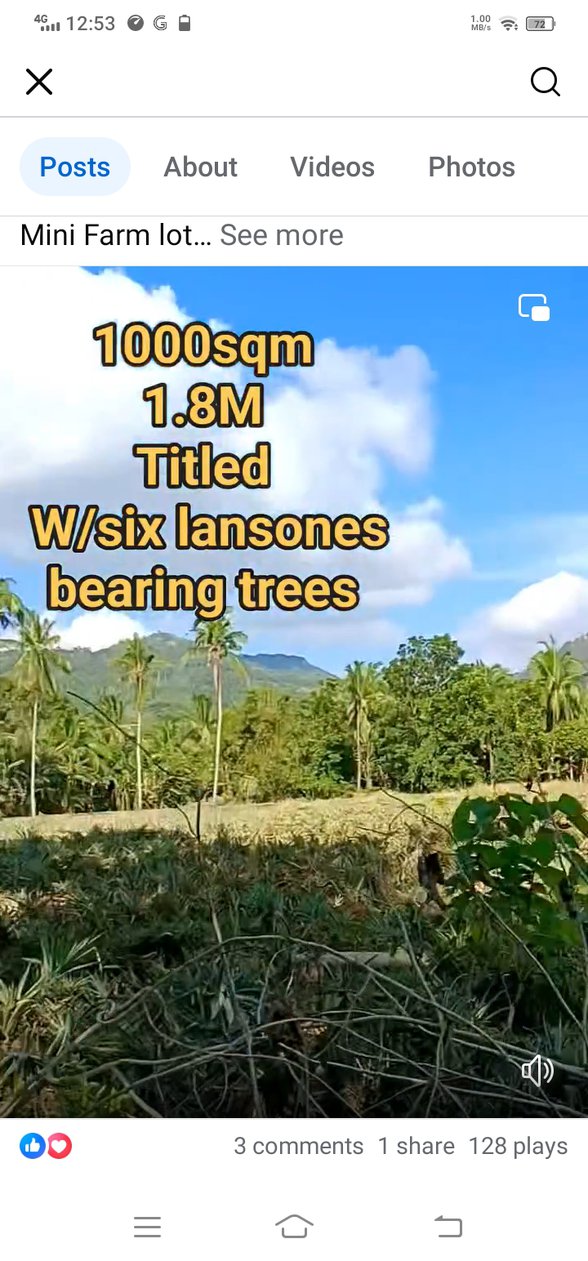 Residential Farm For Sale Binan Laguna [80 Properties] (March 2025) on ...