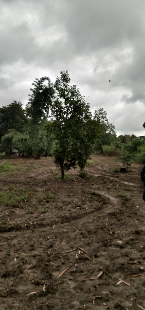 Converge 700 Monthly [12,131 Properties] (June 2025) on OnePropertee.com