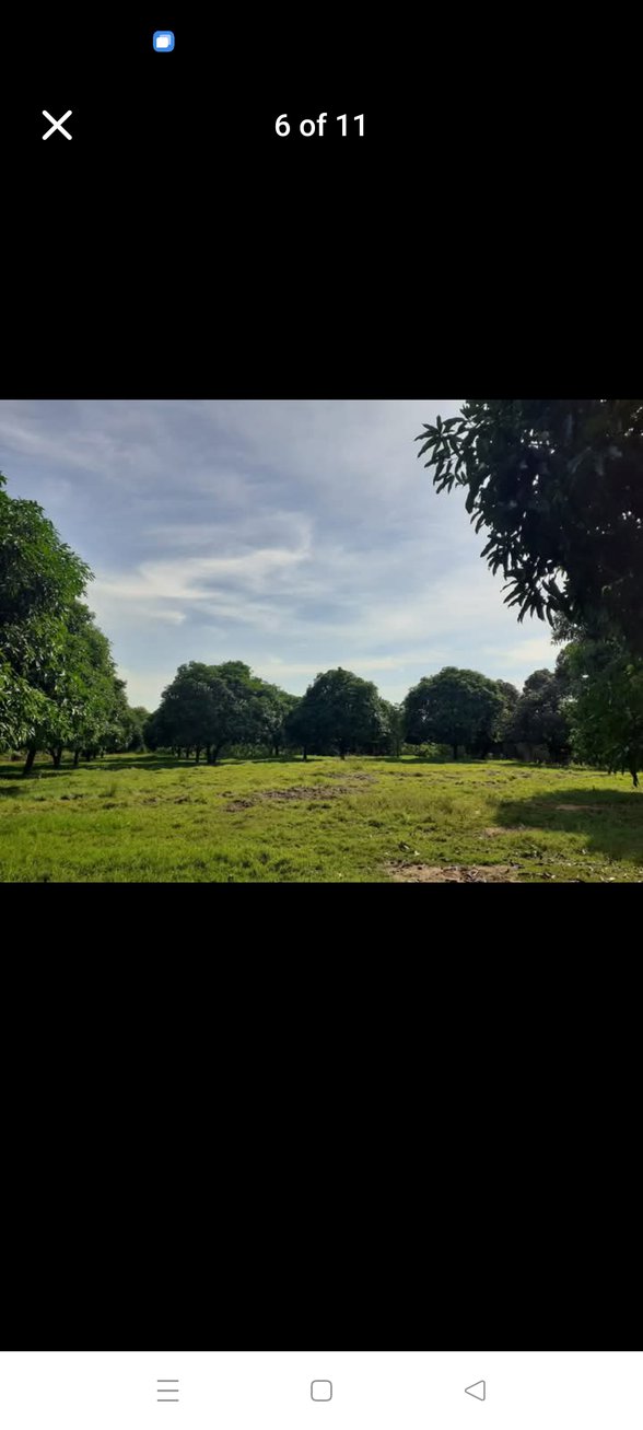 Mango Farm Lot For Sale Bulacan [10 Properties] (December 2025) on ...