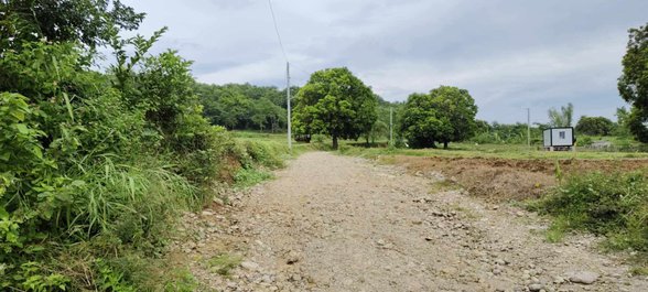 12 Meter Wide Road [22,440 Properties] (February 2025) on OnePropertee.com