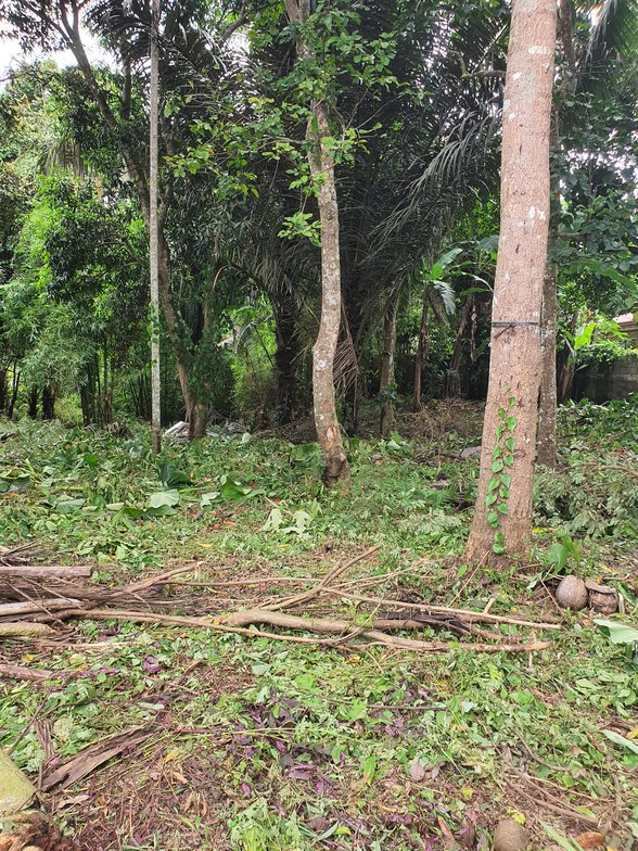 Graduated Tax Table 2021 [8,273 Properties] (May 2025) on OnePropertee.com