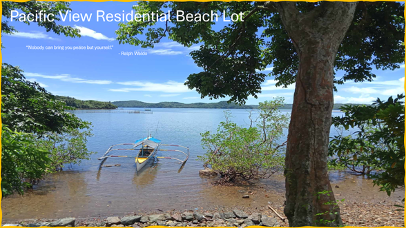Clean Title Beach Property For Sale Tinambac Camarines Sur [94 ...