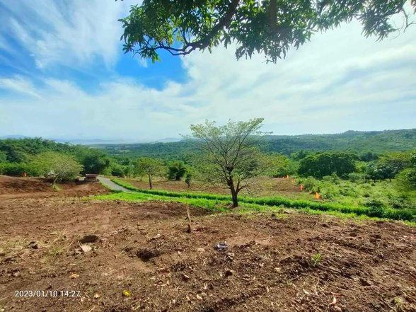 45 Hectares [3,197 Properties] (February 2023) on OnePropertee.com