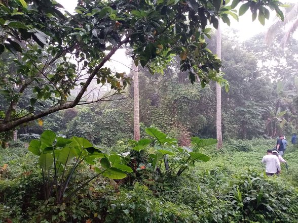 9 Hectares Of Land [33,047 Properties] (January 2024) on OnePropertee.com