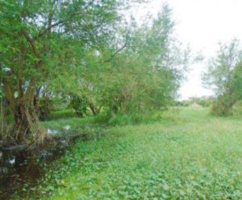 Foreclosed Foreclosed Lot For Sale Tanza Cavite [78,252 Properties ...