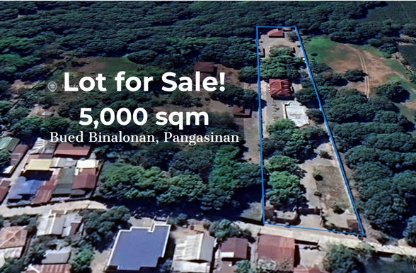 Single Detached House For Sale Binalonan Pangasinan [317 Properties ...