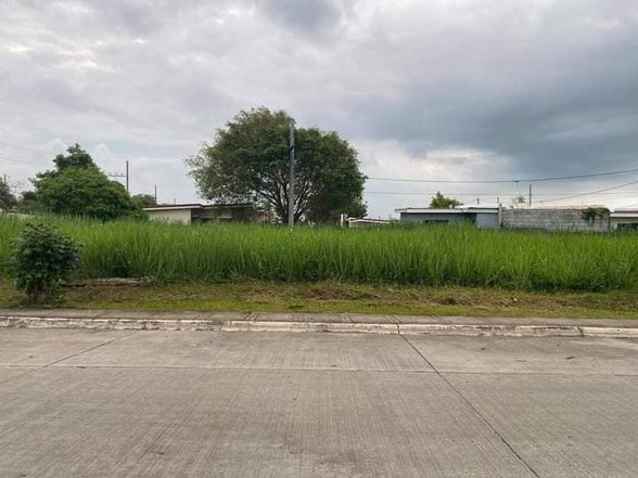 Barandal Properties For Sale Calamba Laguna [20 Properties] (September ...