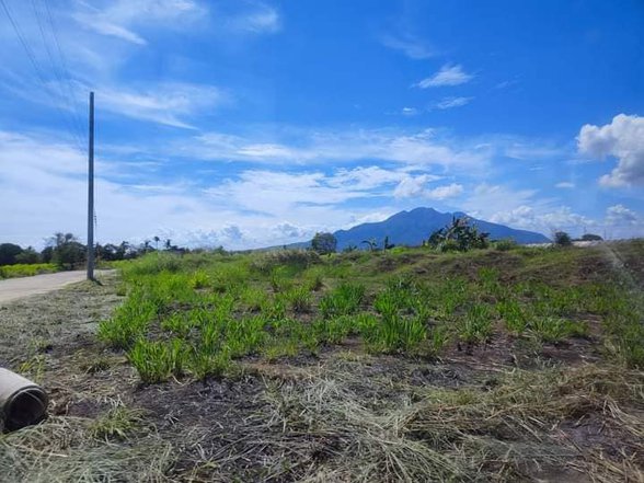 Lago Vista Pansol Lot For Sale Calamba Laguna [2,992 Properties ...