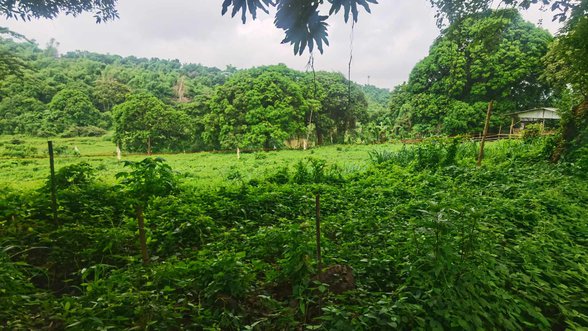 Crystal East Residential Estate And Country Club Morong Photos [48,694 ...
