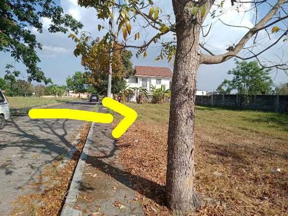 Amilyar Receipt [491 Properties] (June 2025) on OnePropertee.com