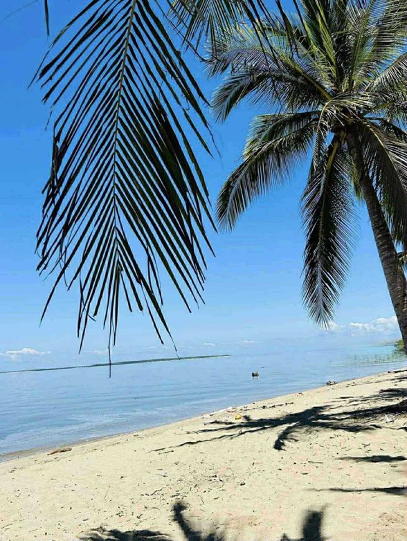 Affordable Beach Property For Sale Guinayangan Quezon [64,438 ...