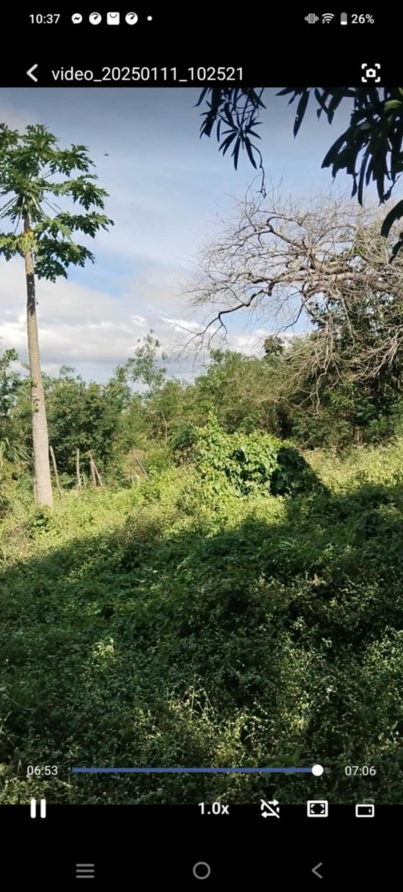 Residential Farm For Sale Norzagaray Bulacan [107 Properties ...