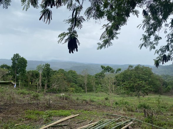 Bnk Tanay [965 Properties] (October 2024) on OnePropertee.com
