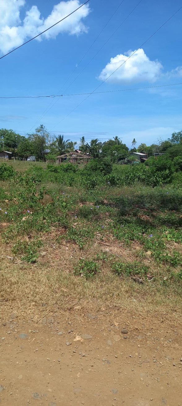 1800 Sqm To Meter [52,484 Properties] (April 2026) on OnePropertee.com