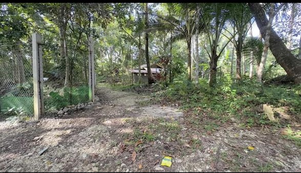 Galilee Wonderland Resort [50,395 Properties] (February 2025) on ...