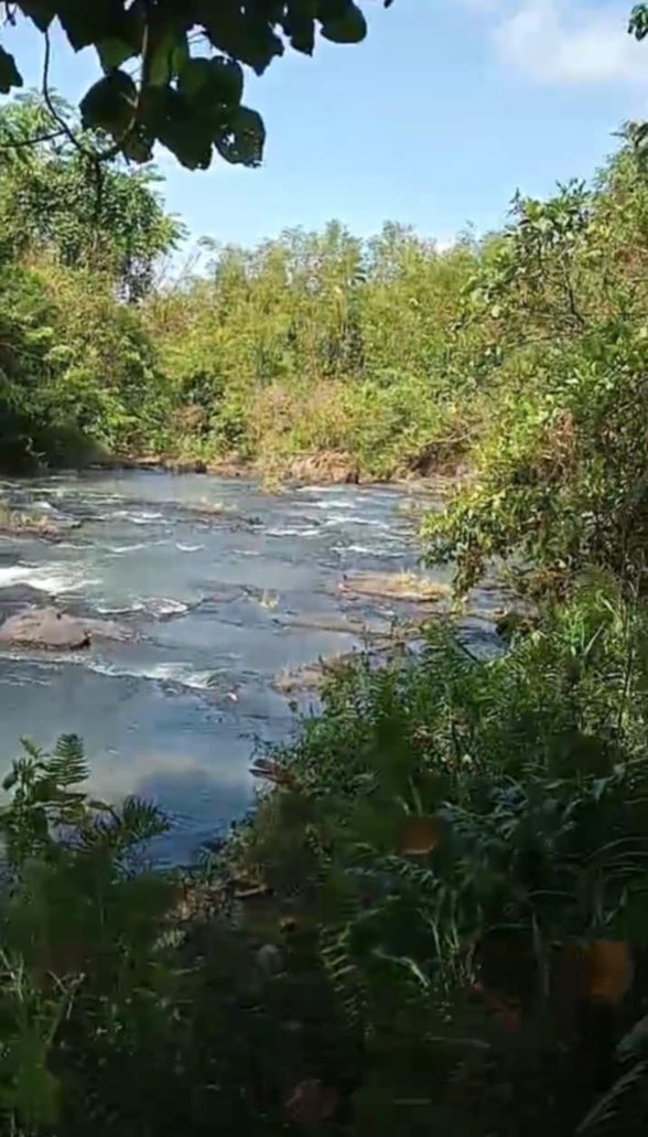 1 Hectare Laguna [38,195 Properties] (June 2025) on OnePropertee.com