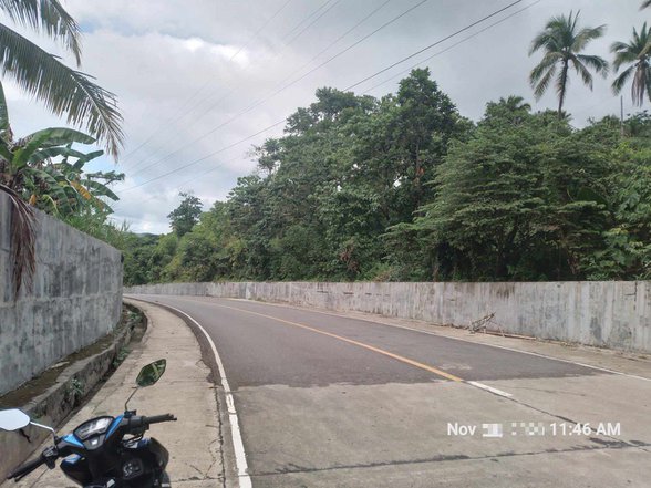 Farm Lot For Sale Baloi Lanao Del Norte [1 Property] (November 2024) on ...