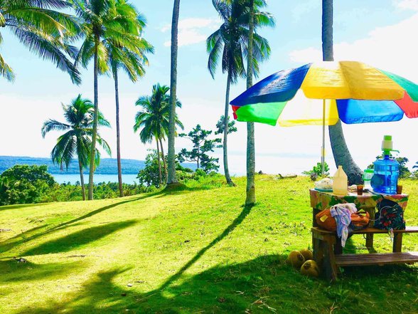 Mt Amorong [1,039 Properties] (July 2025) on OnePropertee.com