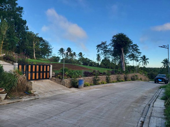 Alfonso Light Price 1 Box [42,167 Properties] (November 2024) on ...