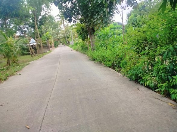 Properties For Sale Moalboal Cebu [27 Properties] (June 2026) on ...