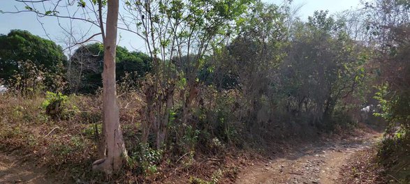 Lastrella Farm Photos [11,294 Properties] (October 2024) on ...