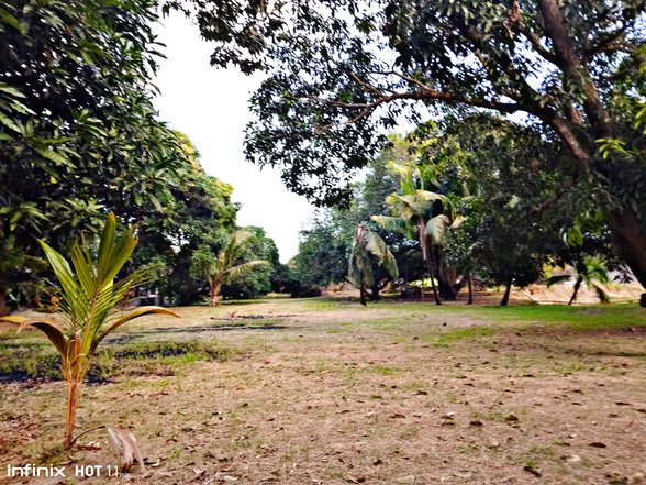 Agricultural Farm Lot For Sale Magalang Pampanga 🚜 [144 Properties ...