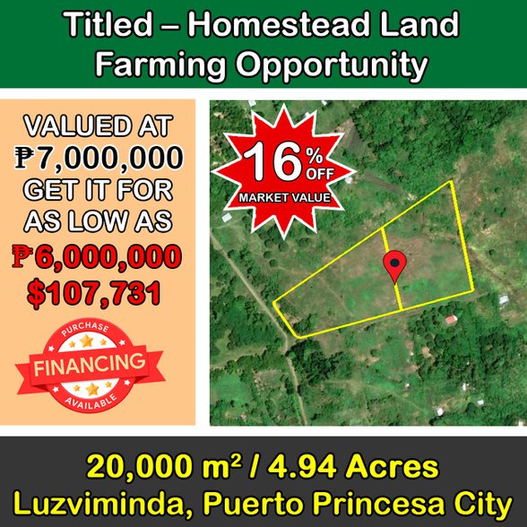 Barangay Napsan Puerto Princesa City [36,454 Properties] (January 2024 ...