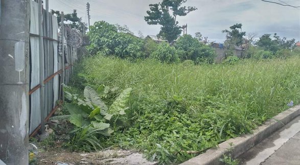 Firewall Inside Gutter Detail [20,316 Properties] (August 2024) on ...