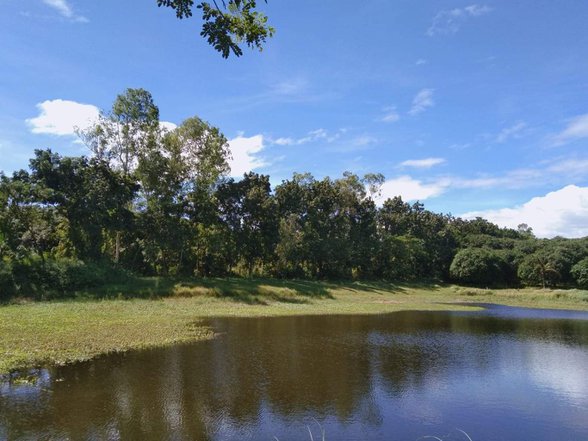 Ilog Nueva Ecija [819 Properties] (June 2023) on OnePropertee.com