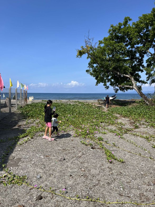 Affordable Properties Banaybanay Davao Oriental [4 Properties ...