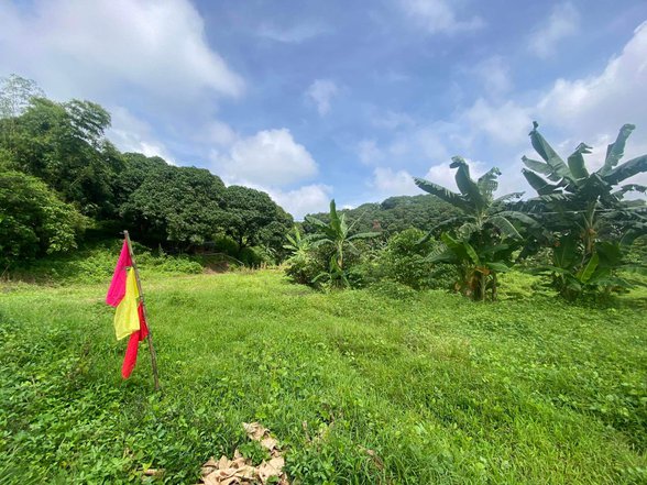 Barangay Bitungol Norzagaray Bulacan [9,484 Properties] (December 2022 ...