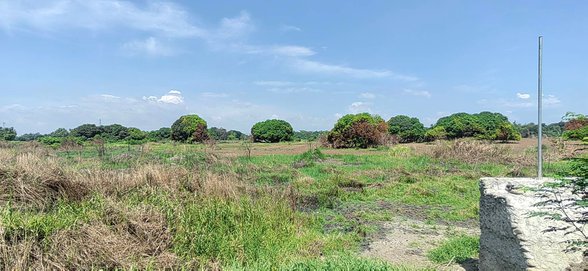 Longos Calasiao Pangasinan Properties [10 Properties] (June 2025) on ...