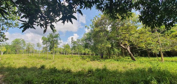 Mini Palawan In Bulacan [6,267 Properties] (November 2024) on ...