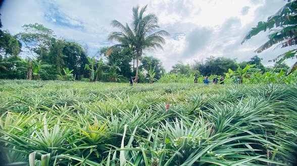 Mini Palawan In Bulacan [4,710 Properties] (December 2023) on ...