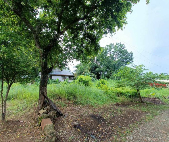 Inagawan Palawan [554 Properties] (September 2023) on OnePropertee.com