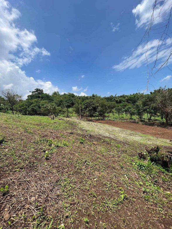 Clean Title Lot For Sale Cainta Rizal [37,675 Properties] (November ...