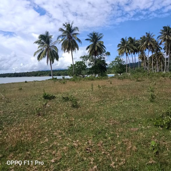 How Big Is The Closed Van In Transportify [3,743 Properties] (May 2025 ...