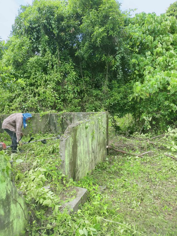 Agricultural Farm Lot For Sale Bulakan Bulacan 🚜 [56 Properties] (July ...
