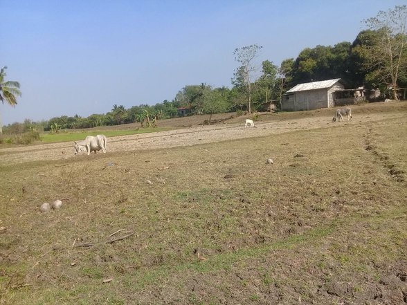 Batangas Taysan [3,756 Properties] (August 2023) on OnePropertee.com